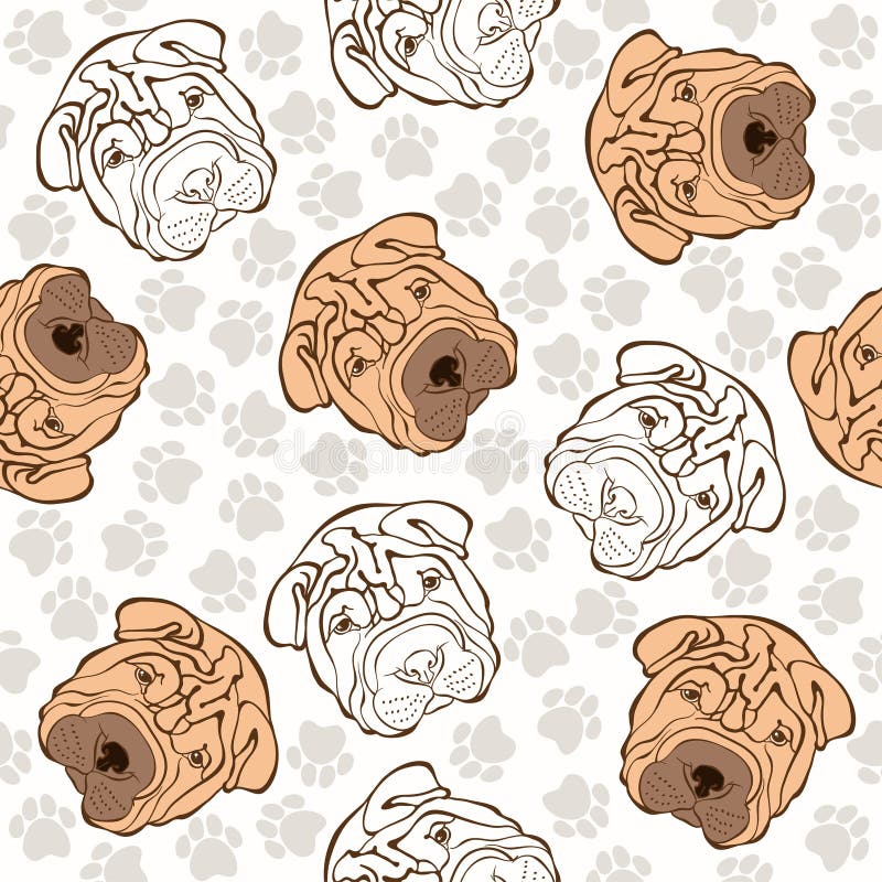 Sharpei Face. Vector Set. Hand-drawn Illustration. Sketch Stock ...
