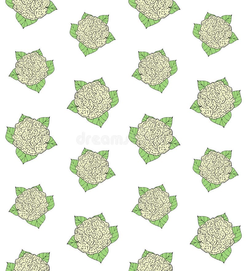 Vector Seamless Pattern of Sketch Cauliflower Stock Vector ...