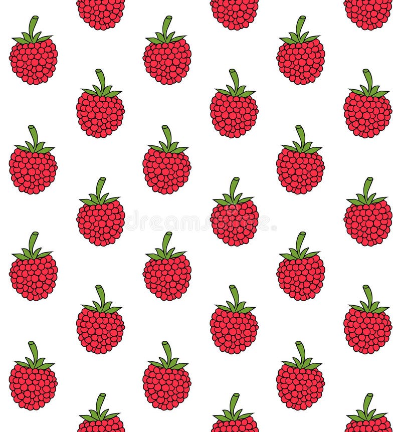 Vector Seamless Pattern of Sketch Color Raspberry Stock Illustration ...