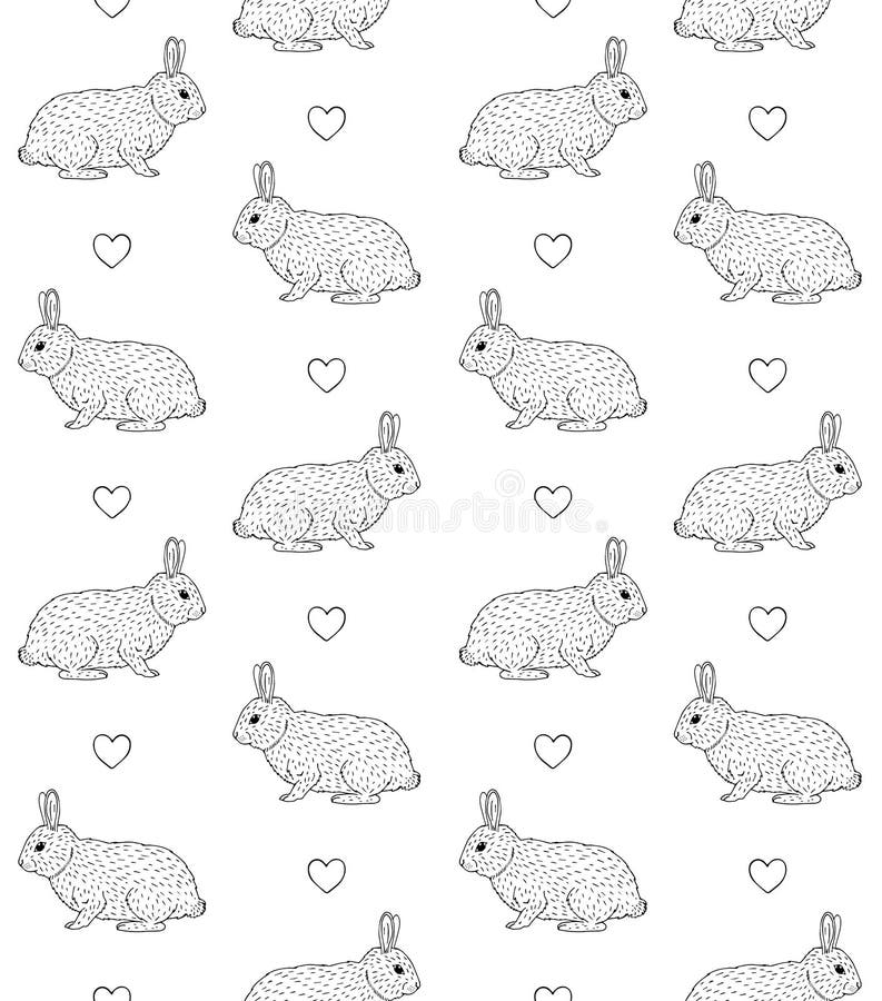 Sketch rabbit stock vector. Illustration of oryctolagus - 51065528