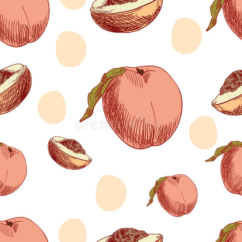 Vector Seamless Pattern Template, Peach, Fruits Background, Isolated on ...