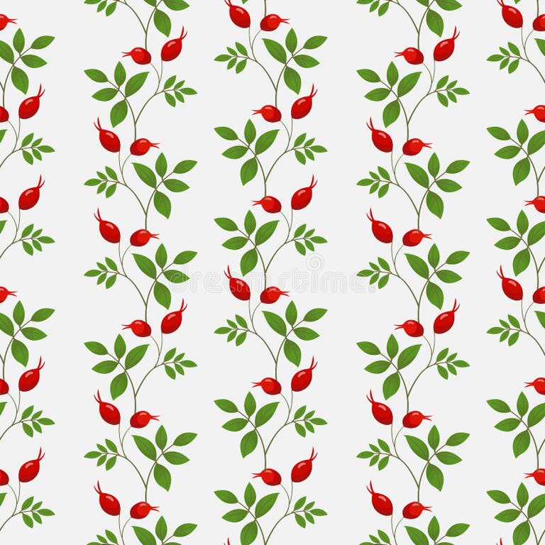 Hip Rose Vertical Stock Illustrations – 72 Hip Rose Vertical Stock ...