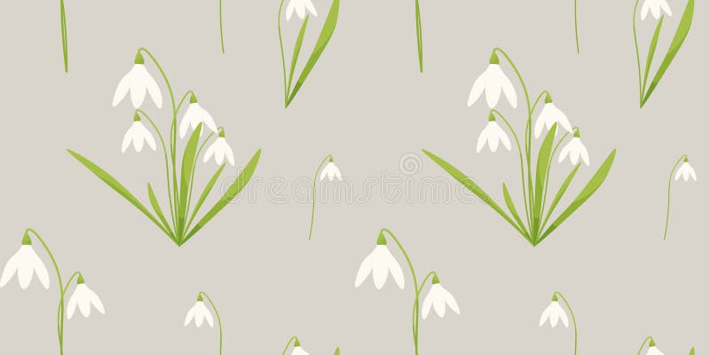 Vector Seamless Pattern with White Snowdrops and Green Leaves Stock Vector - Illustration of ...