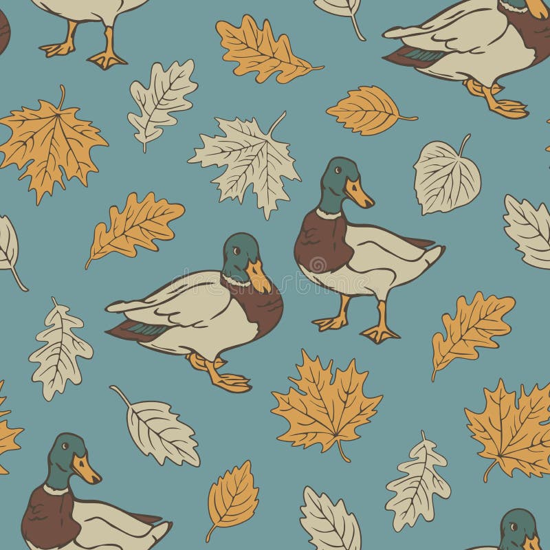 Wild ducks stock vector. Illustration of drawn, drawing - 64046935