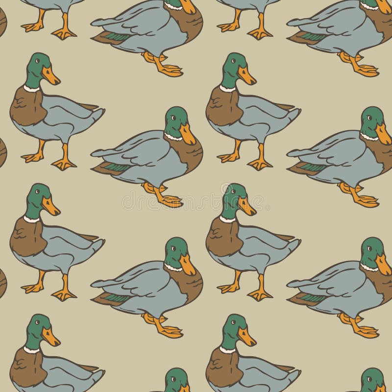 Vector Seamless Pattern with Wild Ducks. Stock Vector - Illustration of ...