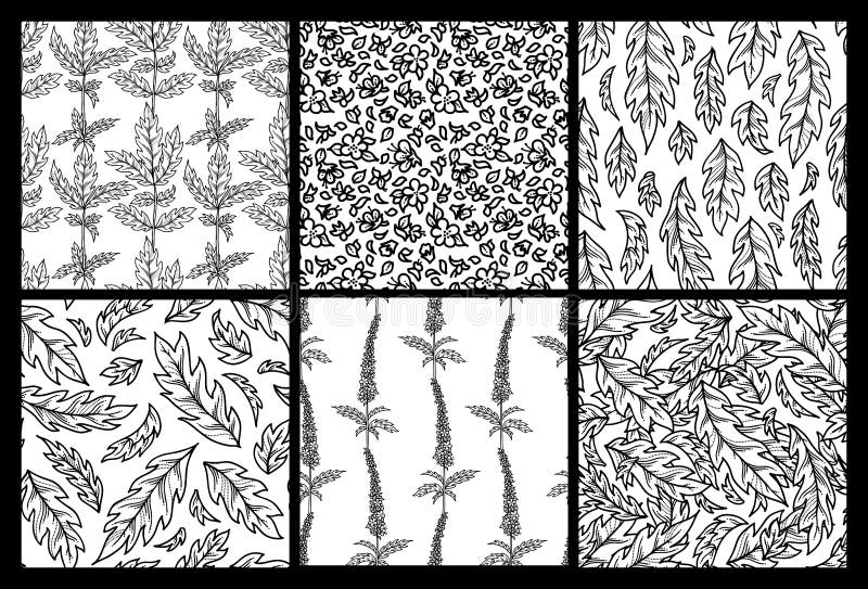 Vector Seamless Set of Black and White Floral Patterns. Stock Vector ...