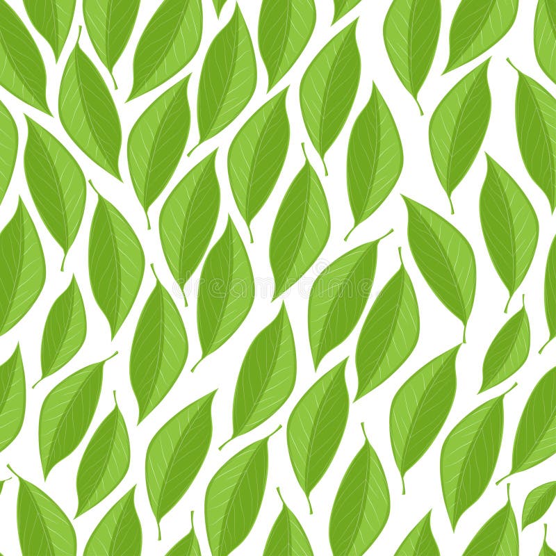 Vector Seamless Texture with Green Leaves on a White Background Stock ...