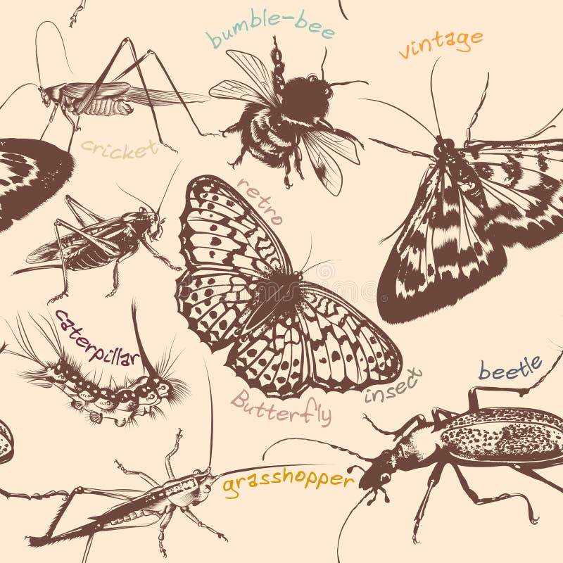 Vector Seamless Wallpaper Pattern with Detailed Insects in Vintage ...