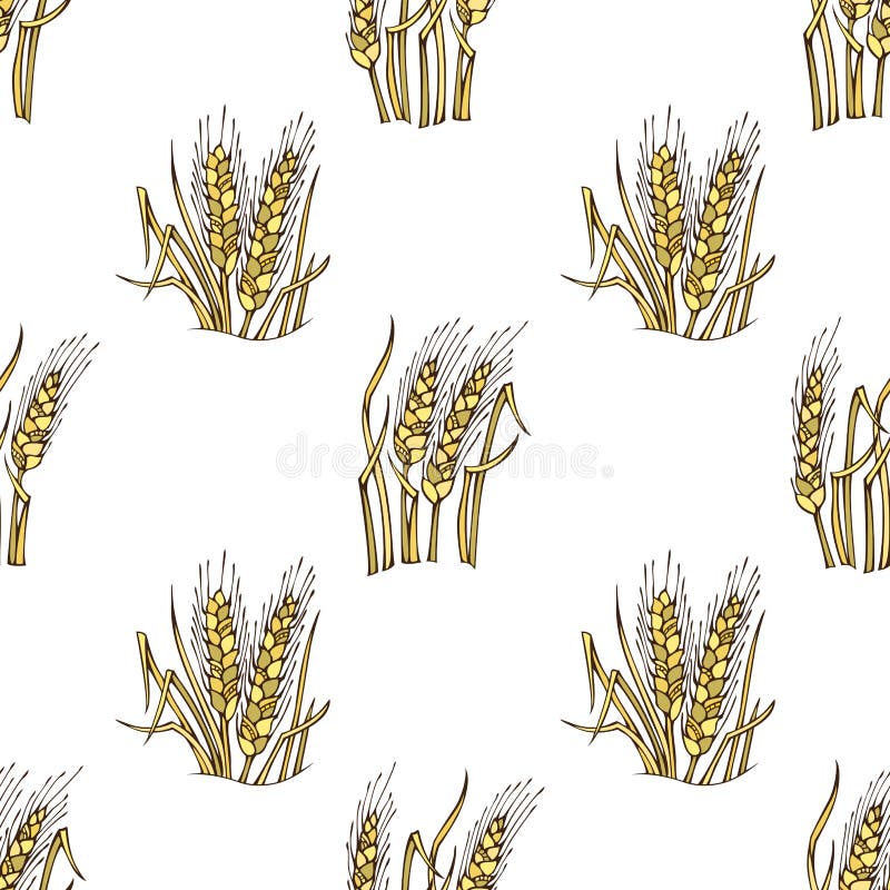Vector Seamless Wheat Pattern. Stock Vector - Illustration of drawn ...