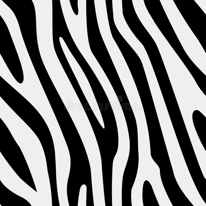 Vector Seamless Zebra Texture Stock Vector - Illustration of making ...