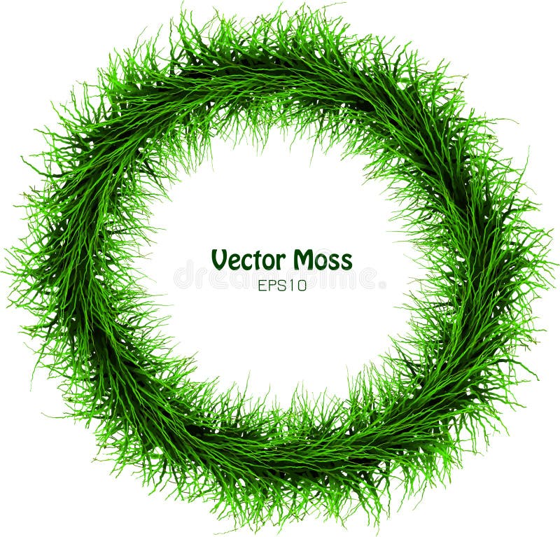 Vector Seaweed Garland - Round Isolated Vegetative Grass Cadre Stock ...
