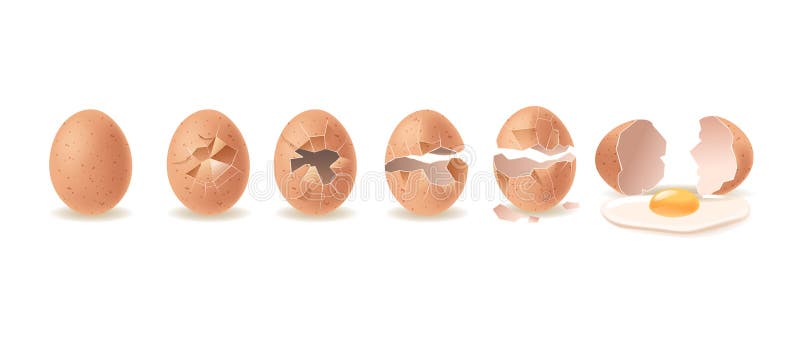 Vector Sequence Showing the Stages of Brown Egg Cracking Progressively ...