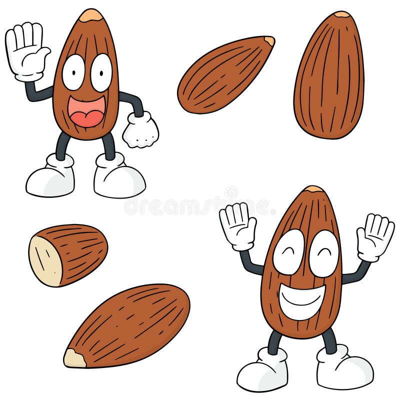 Vector Set of Almond Cartoon Stock Vector - Illustration of cute ...