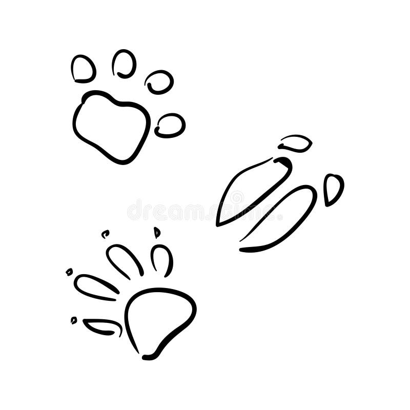 Vector Set of Animal Tracks. Sketch Style. Wolf, Fox, Boar, Bear Stock ...