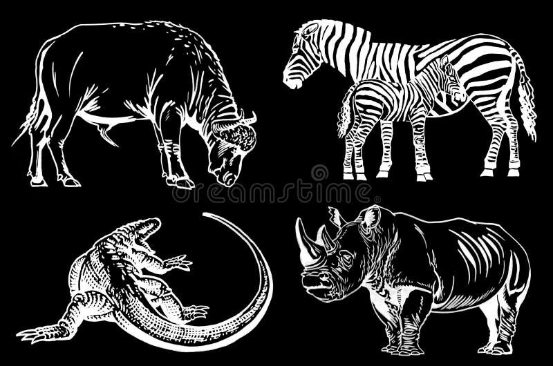 Vector Set of Animals Isolated on Black Background, African Collection ...