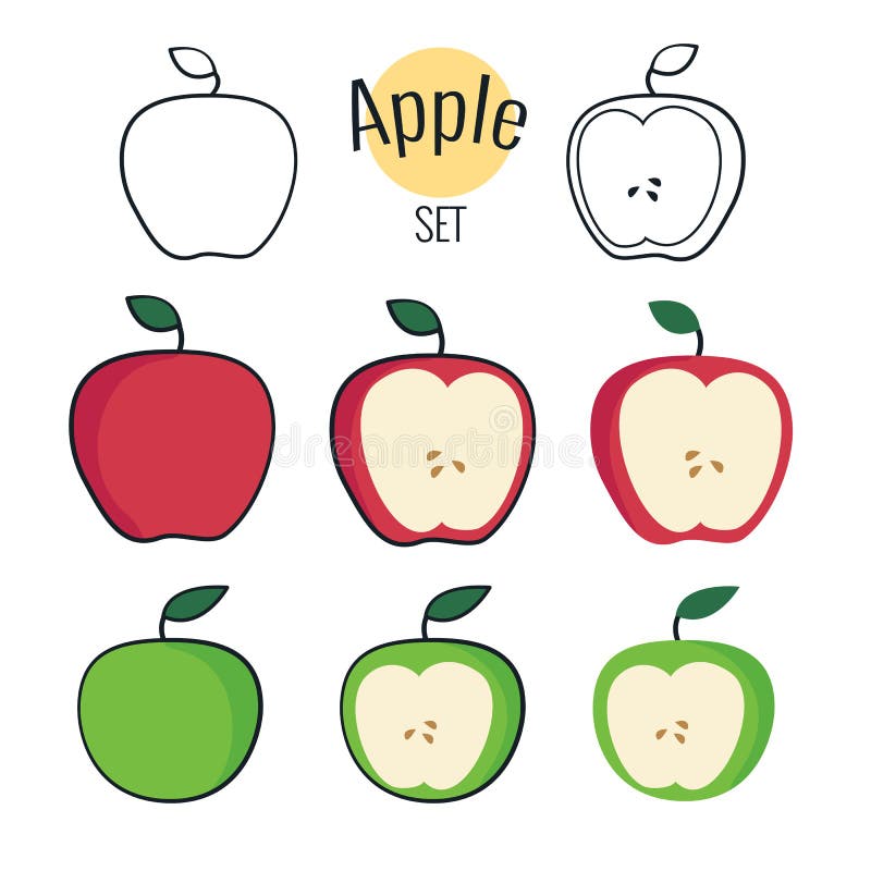 Vector Set of Apples. Vector Whole Apple and Half of Apple. Apples ...