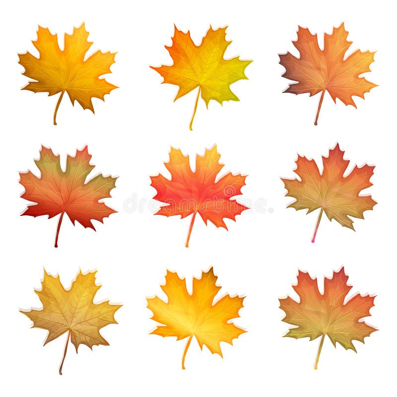 Vector Set of Autumn Maple Leaves Stock Vector - Illustration of canada ...