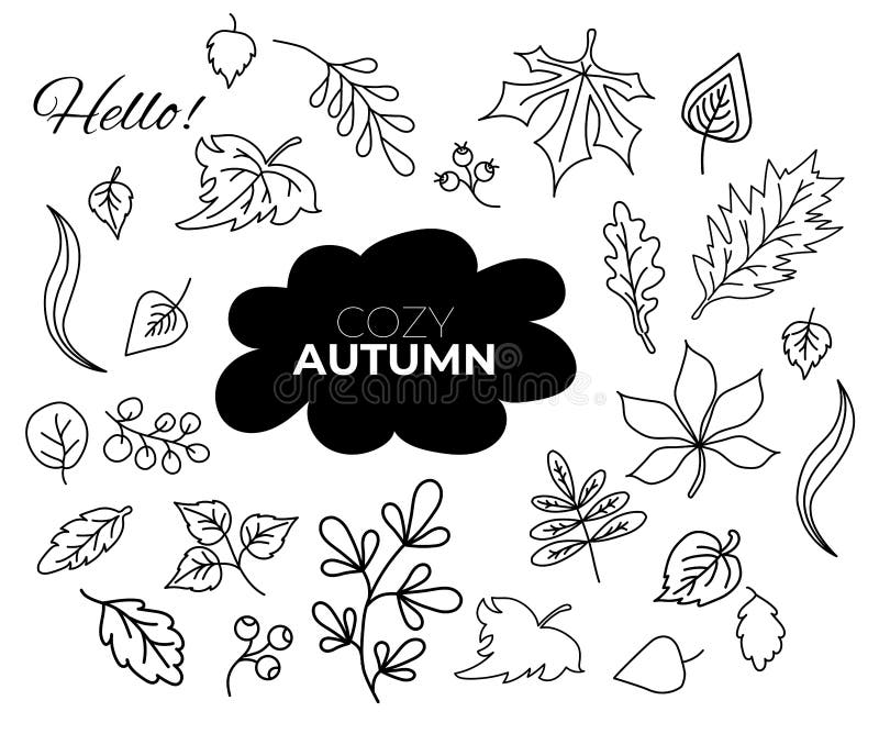 Set of Elements of the Autumn Season. Black Line Drawings of Various ...