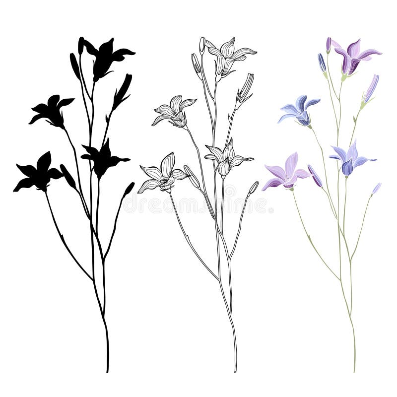 Bellflower Cartoon Stock Illustrations – 368 Bellflower Cartoon Stock ...