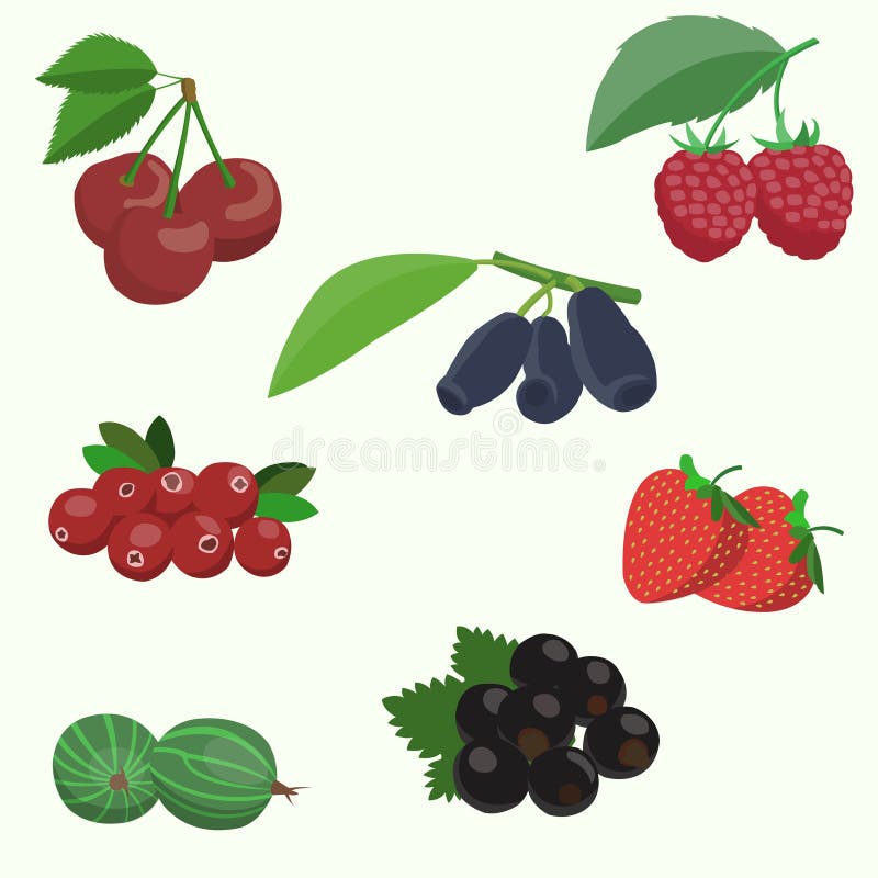 Vector set of berries. stock vector. Illustration of element - 96327539
