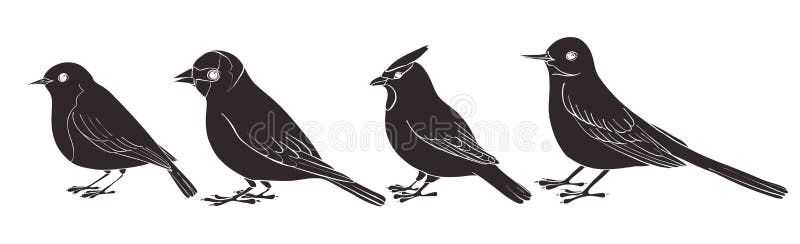 Songbirds Vector Stock Illustrations – 386 Songbirds Vector Stock ...