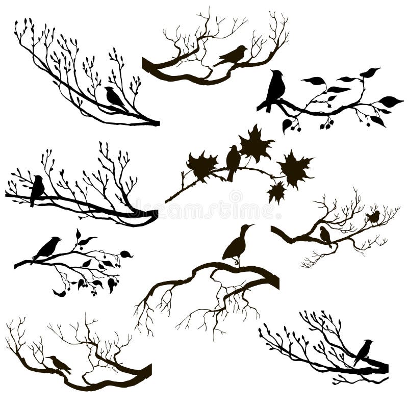 Birds at tree silhouettes stock vector. Illustration of outline - 89732184
