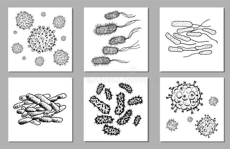 Vector Set of Black Sketch Bacteria Isolated on White Backgtound ...