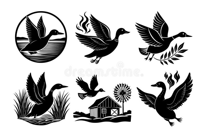 Vector Set of Black and White Duck Designs Stock Photo - Illustration ...