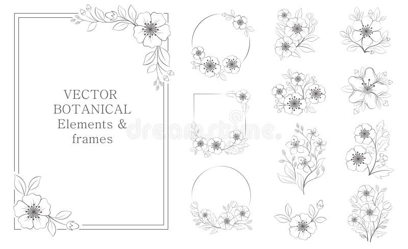 Vector Set of Botanical Elements and Frames in Round, Square. Black ...