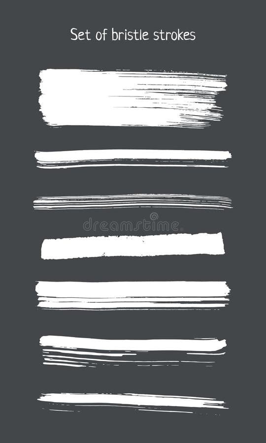 Vector Set of Bristle Strokes Stock Vector - Illustration of graphic ...