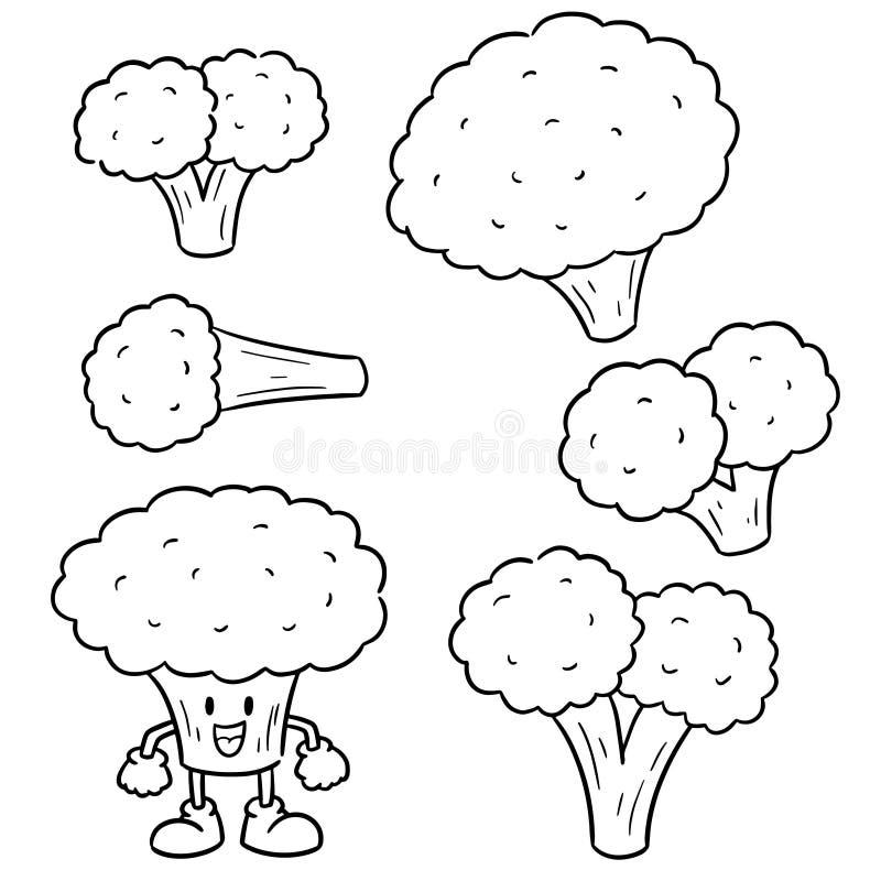 Vector set of broccoli stock vector. Illustration of design - 144513482