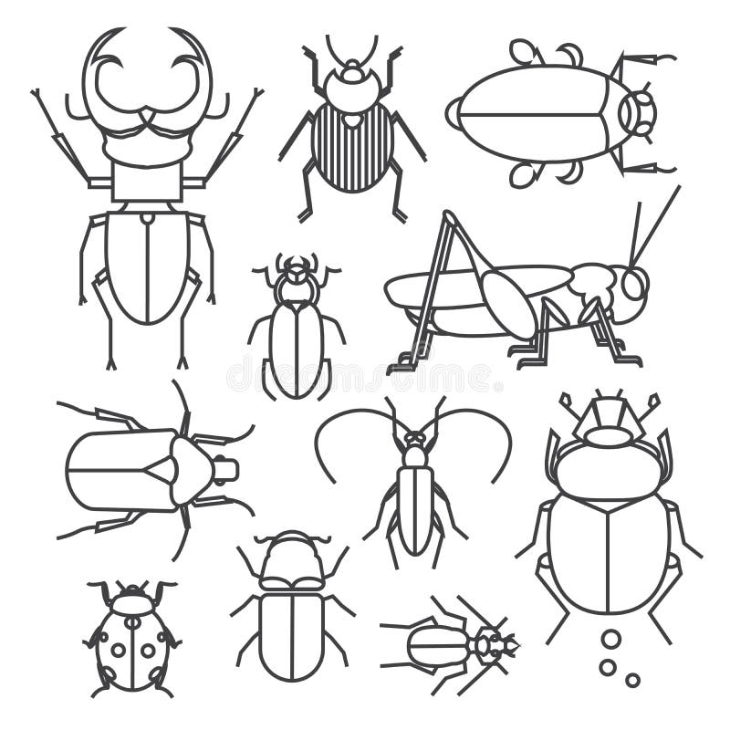 Linear Bugs Stock Illustrations – 465 Linear Bugs Stock Illustrations, Vectors & Clipart ...