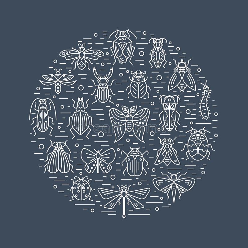 Bugs in Circle stock vector. Illustration of collection - 64569315