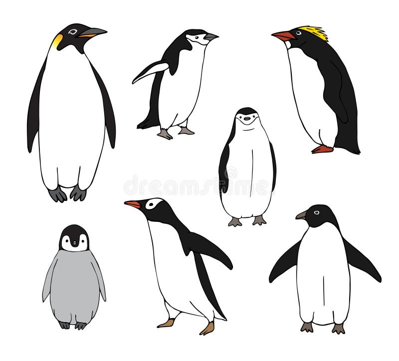 Hand Drawn Galapagos Stock Illustrations – 122 Hand Drawn Galapagos ...