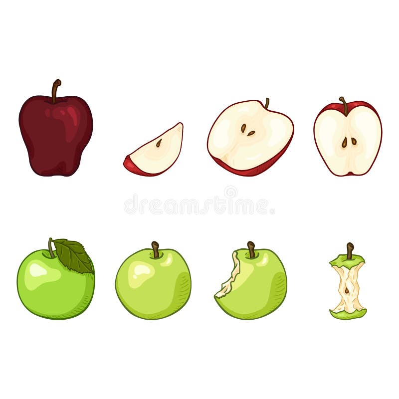 Vector Set of Cartoon Apple Illustrations. Whole, Cut and Bitten Fruit ...