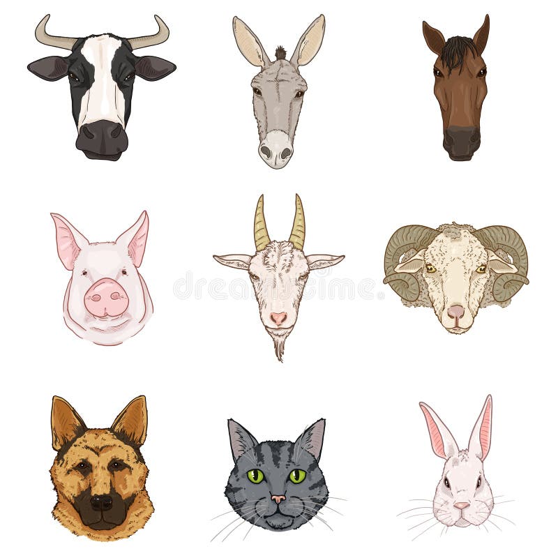 Cartoon Ungulate Animals Set Stock Illustrations – 20 Cartoon Ungulate ...