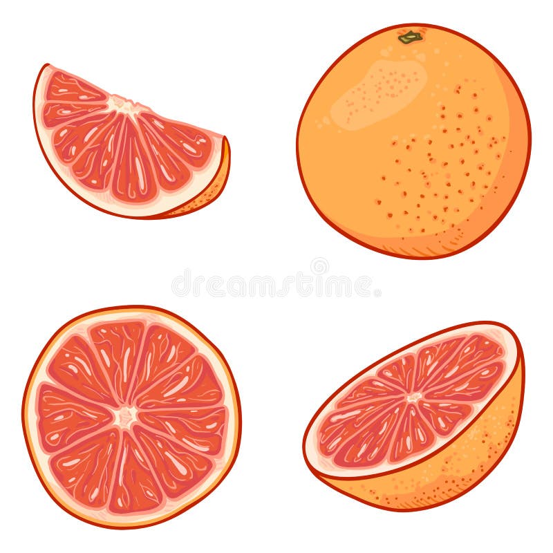 Vector Set of Cartoon Grapefruits Stock Vector - Illustration of menu ...