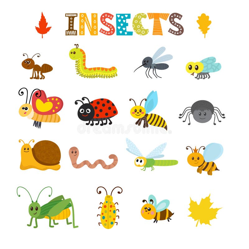 Funny and cute insects stock vector. Illustration of characters - 72612860