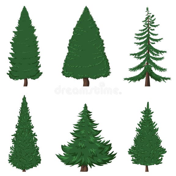 Cartoon Cedar Trees Stock Illustrations – 539 Cartoon Cedar Trees Stock ...