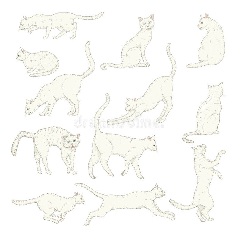 Animal Slinking Stock Illustrations – 32 Animal Slinking Stock ...