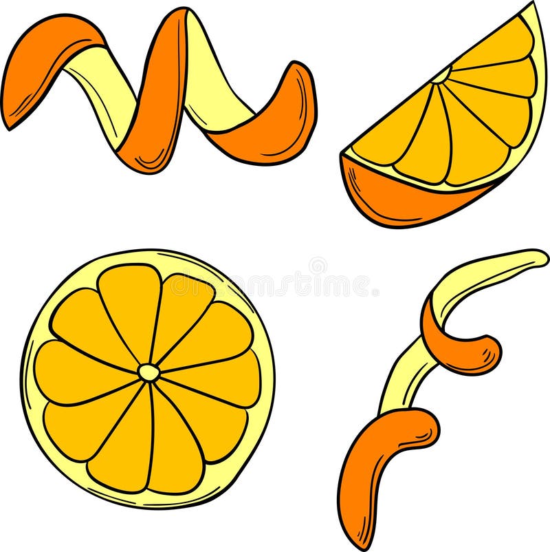 Vector set of citrus i stock vector. Illustration of citrus - 129255026