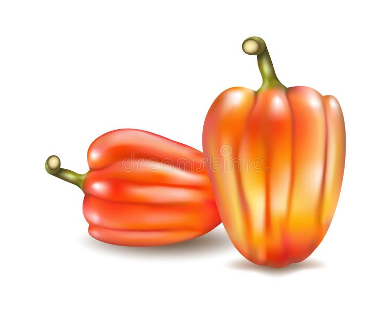 Vector Set of Colored Bulgarian Bell Peppers, Paprika Isolated O Stock ...