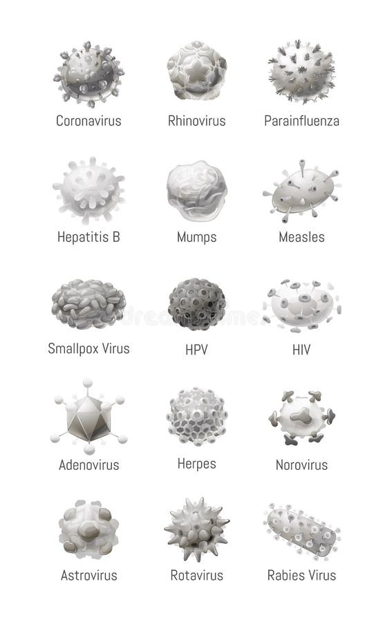 Vector Set of Common Viruses. Models of Pathogens Stock Vector ...