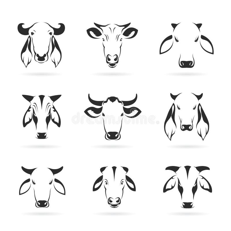 Vector Group of a Cow Head Design on White Background. Farm Stock ...