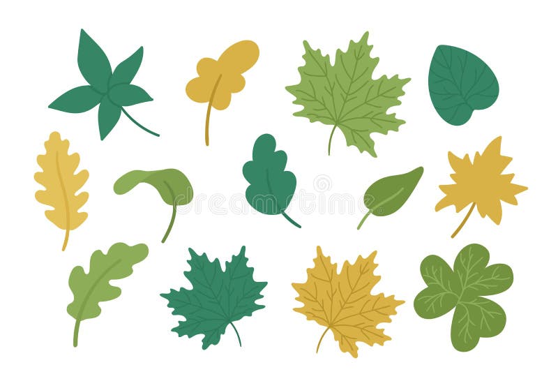 Vector Set of Cute Autumn Leaves. Flat Style Collection with Fall ...