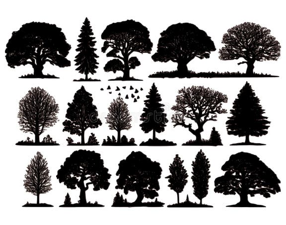 A Refined Set of Deciduous Tree Silhouettes, Created in a Clean Vector ...