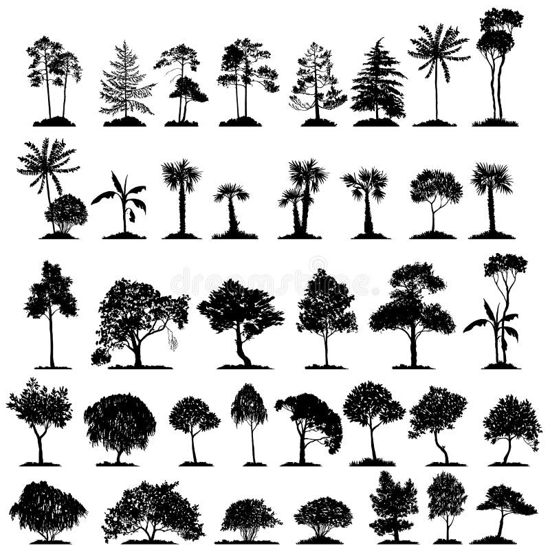 Vector Set of Deciduous Trees Stock Vector - Illustration of birch ...