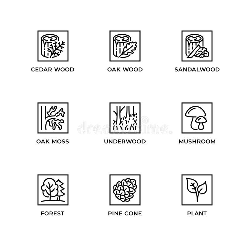Vector Set of Icons for Forest. Line Icon Set, Editable Stroke Stock ...