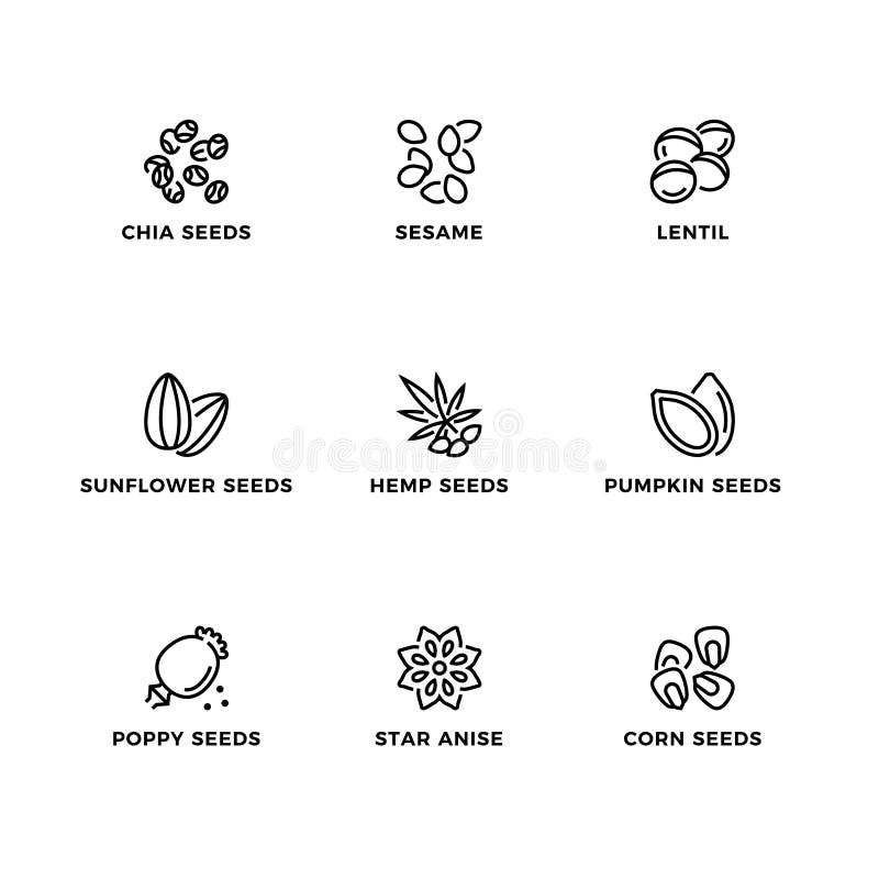 Vector Set of Icons and Badges for Seeds Stock Vector - Illustration of ...
