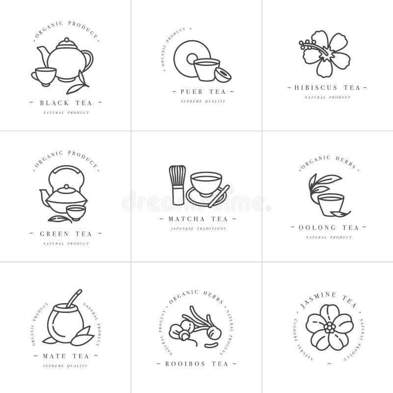Vector Set of Different Recycling Garbage Waste Types Sorting ...